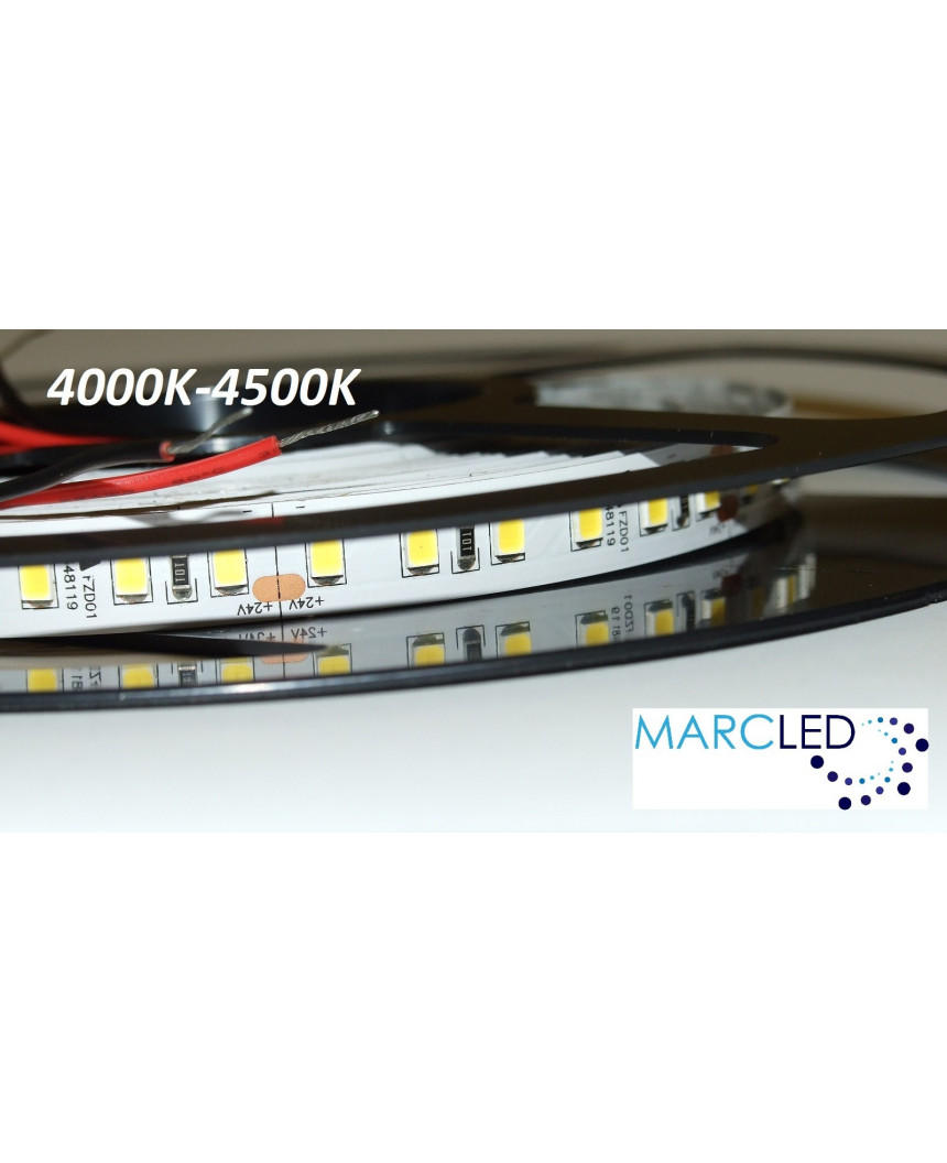 24VDC LED tape, natural white 4000K, 16W/m, 120LED/m, IP65, 5m SMD2835 ...